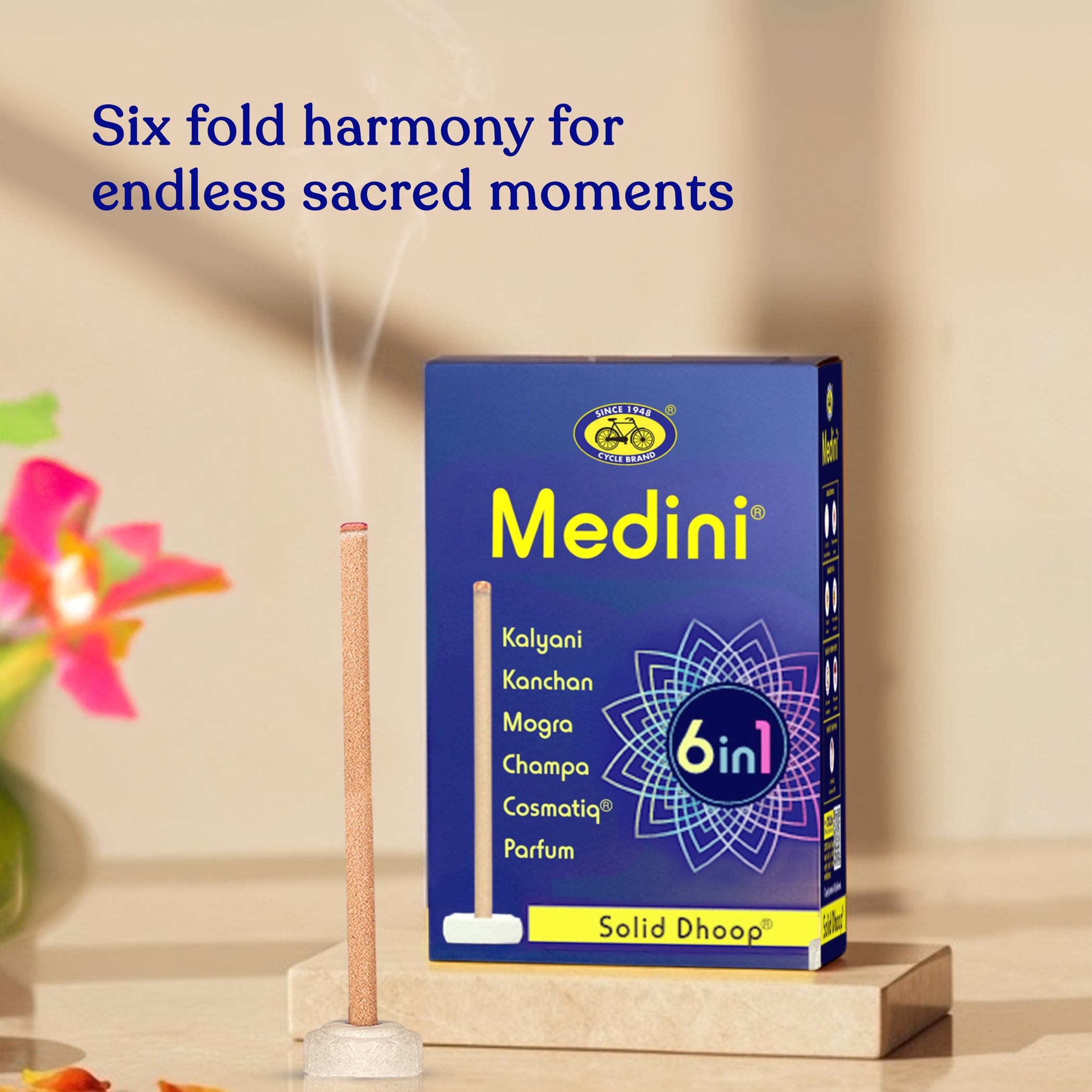 Medini 6 in 1 Premium Bambooless Solid Dhoop – Cycle.in