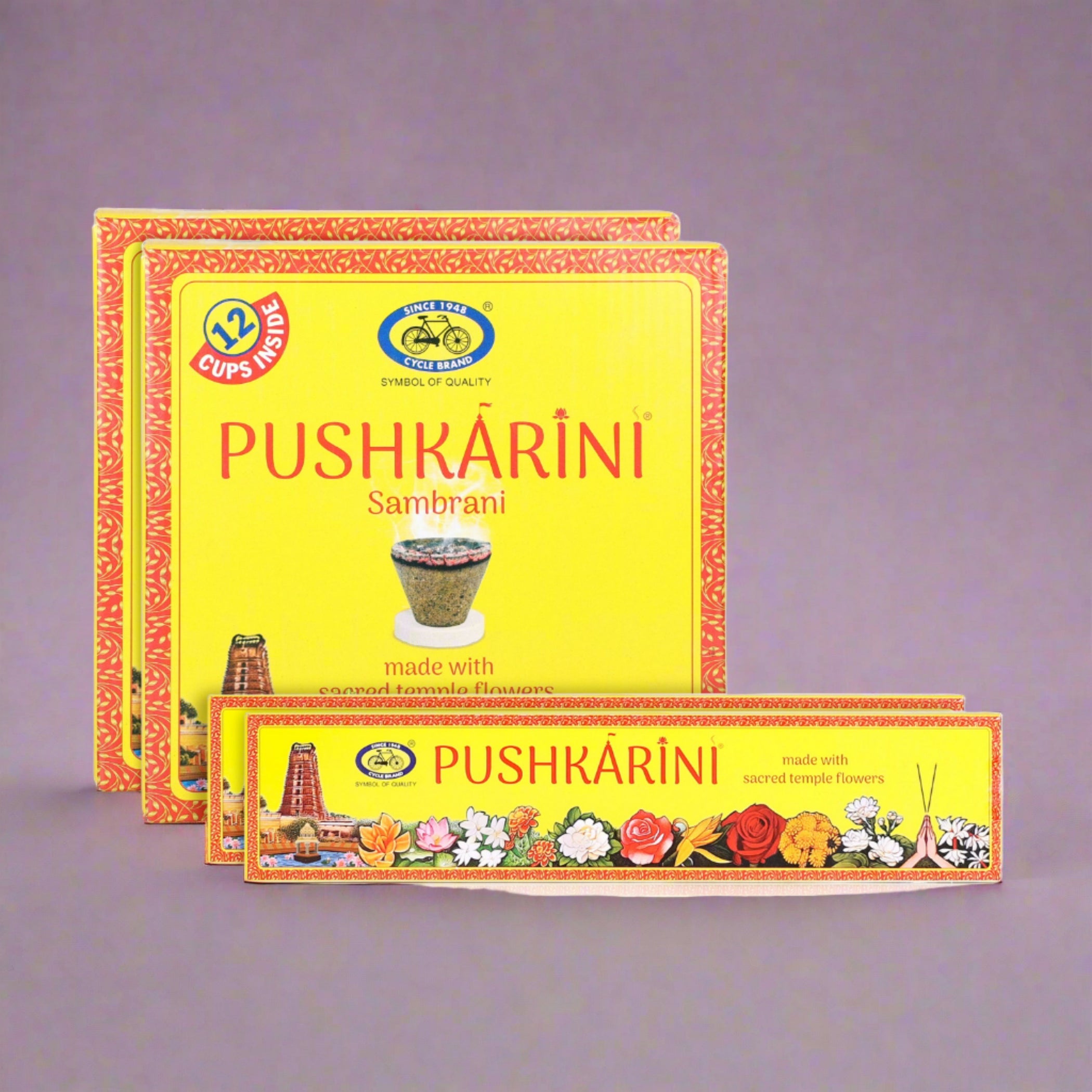 Brand Pushkarini – Cycle.in