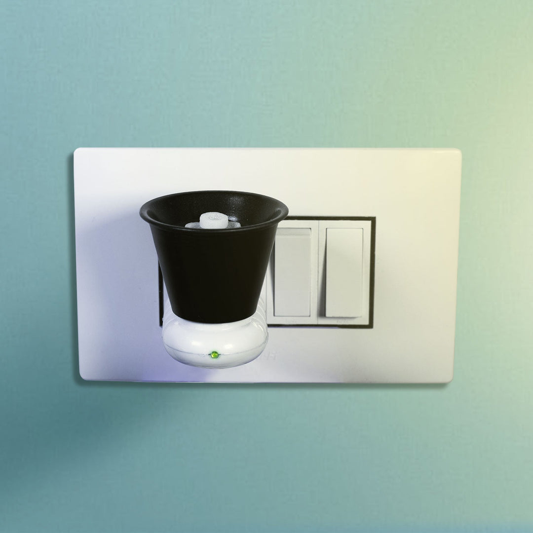 Camphor Vaporizer with Camphor Tablets – Cycle.in